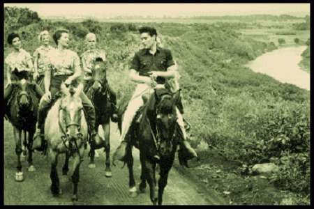 ELVIS PRESLEY & HIS HORSES!! | The Black Stallion